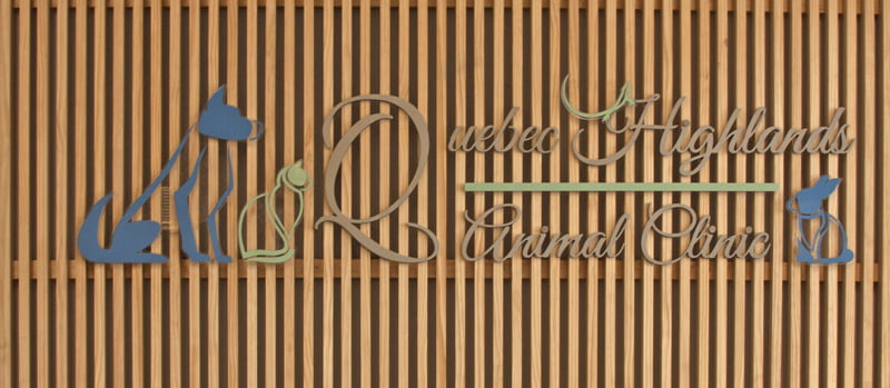 Clinic Tour - Quebec Highlands Animal Clinic