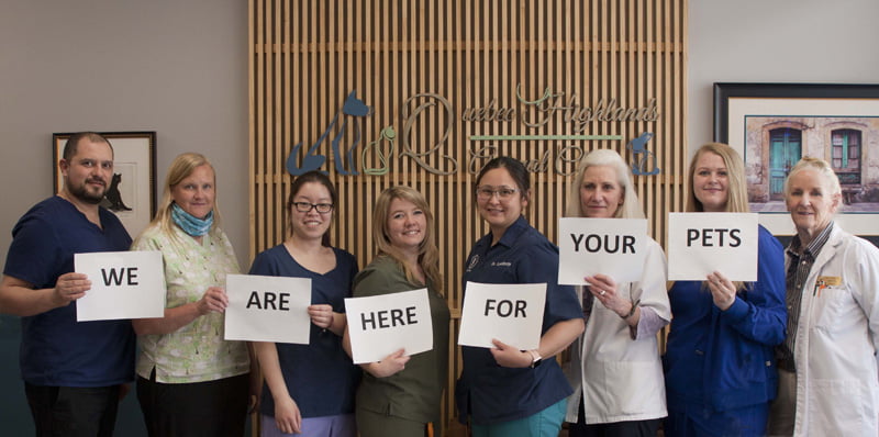 Clinic Tour - Quebec Highlands Animal Clinic