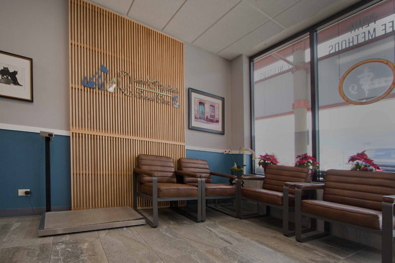 Clinic Tour - Quebec Highlands Animal Clinic