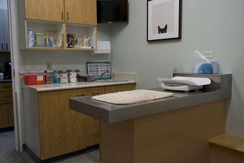 Clinic Tour - Quebec Highlands Animal Clinic