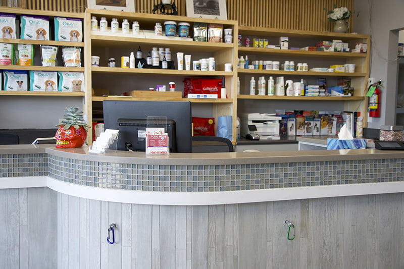 Clinic Tour - Quebec Highlands Animal Clinic