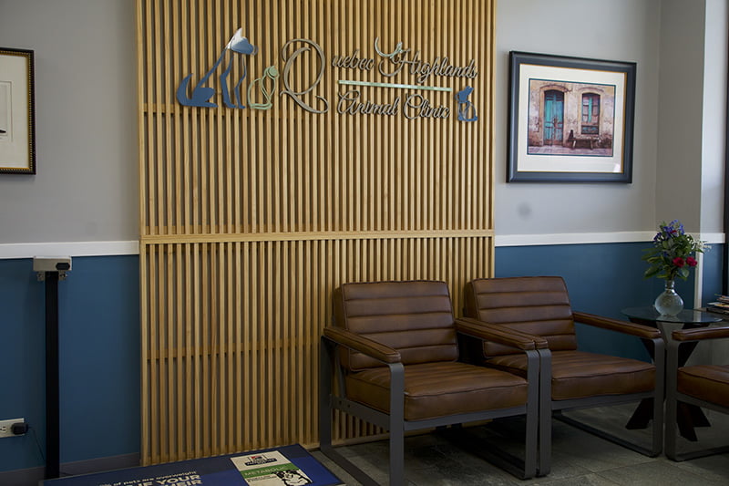 Clinic Tour - Quebec Highlands Animal Clinic